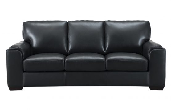 Spectra Home Tivoli Sofa - USA Furniture Warehouse